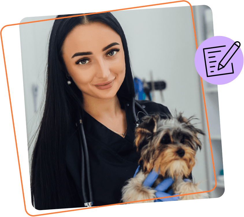 Affordable Online Vet Care: Online Vet Chat | Online Vets UK | PocketVet