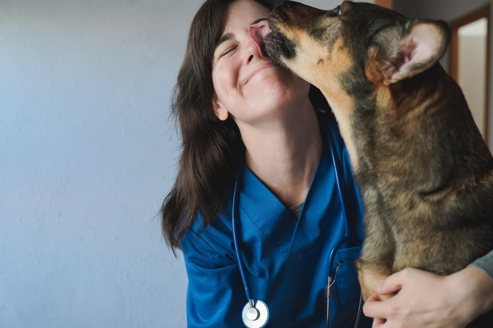 Celebrating Famous Vets From History | PocketVet